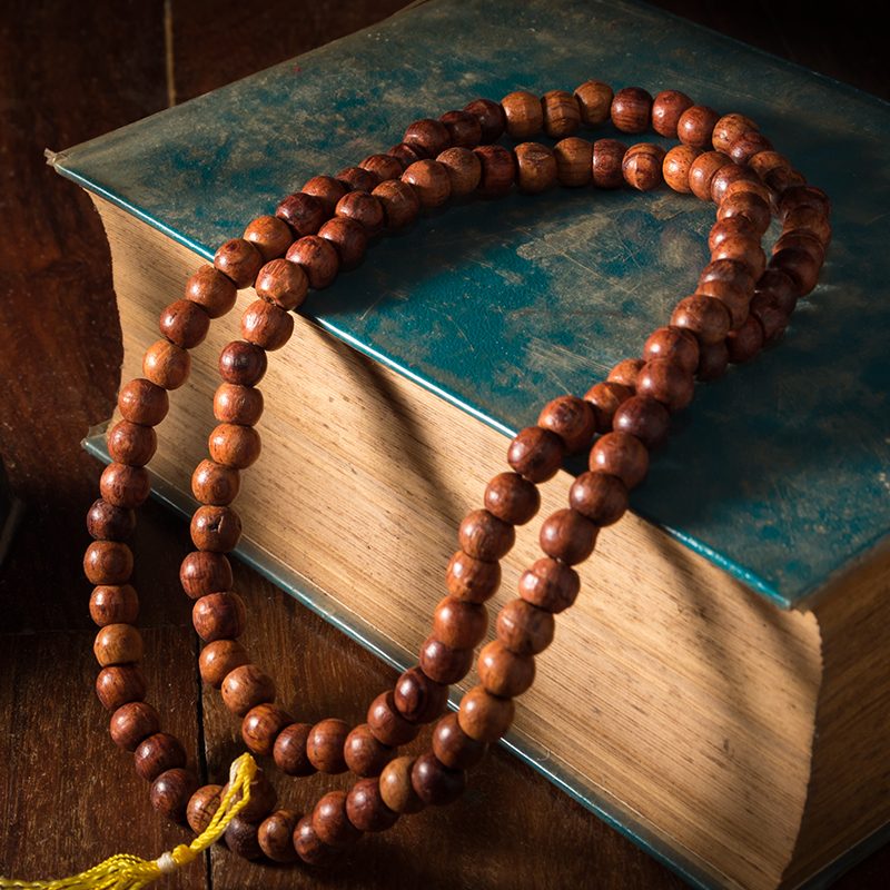 Online Classes - Hollow Bones Zen - Embody the Dharma